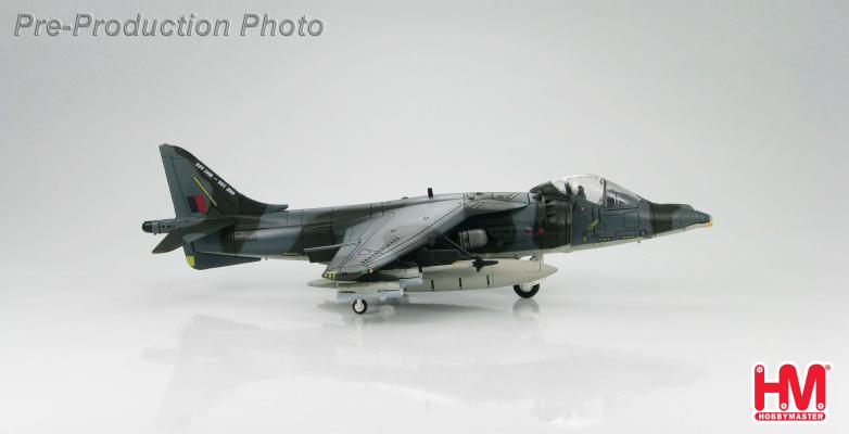 Harrier GR.9 Final Flight ZG506