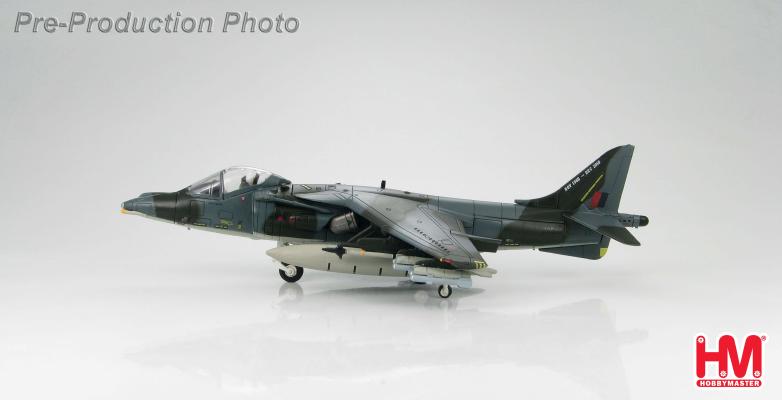 Harrier GR.9 Final Flight ZG506