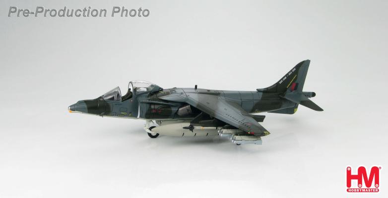 Harrier GR.9 Final Flight ZG506