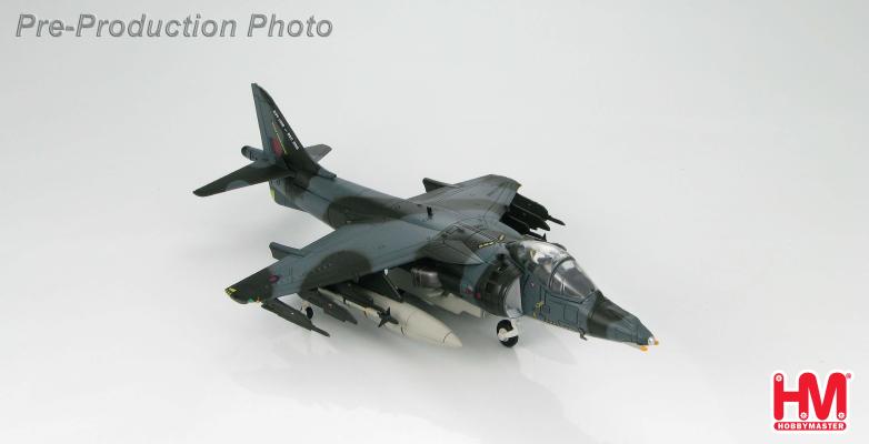 Harrier GR.9 Final Flight ZG506