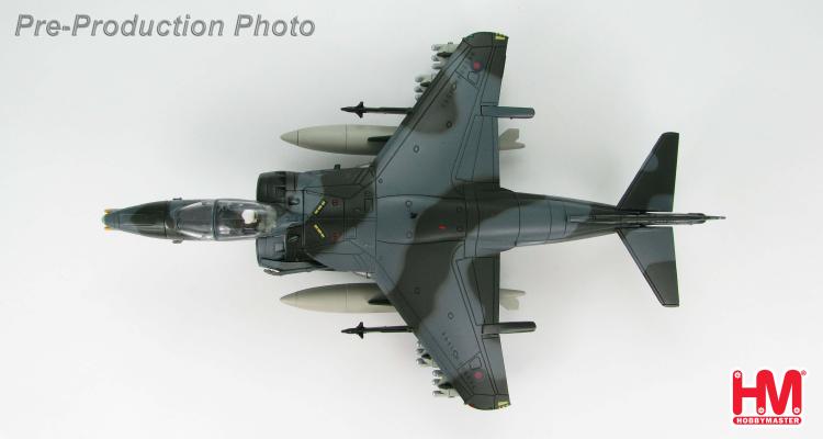 Harrier GR.9 Final Flight ZG506
