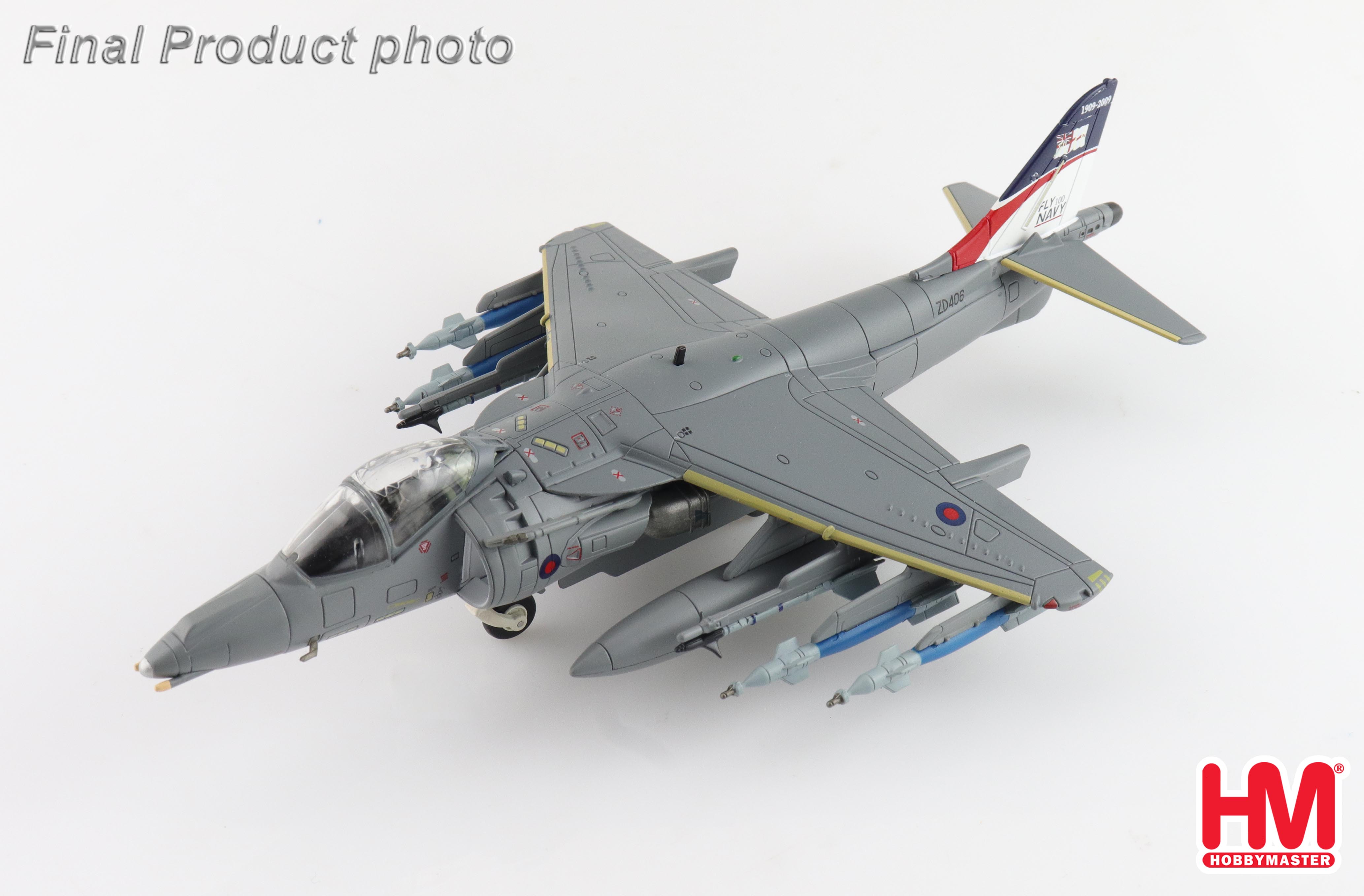 Harrier GR.9 ZD406, Royal Navy Strike Wing, RAF Station Cottesmore, 2009