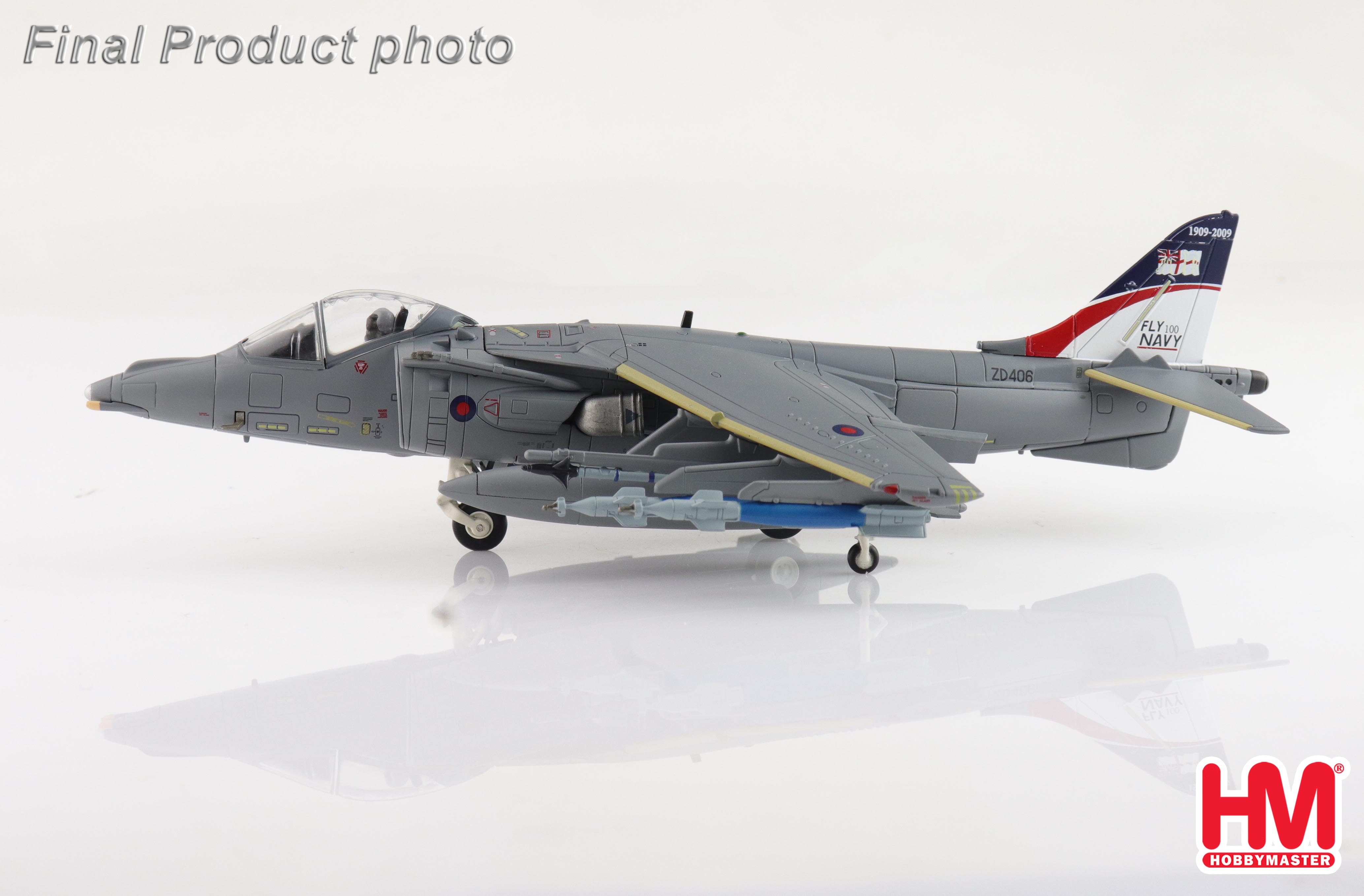 Harrier GR.9 ZD406, Royal Navy Strike Wing, RAF Station Cottesmore, 2009