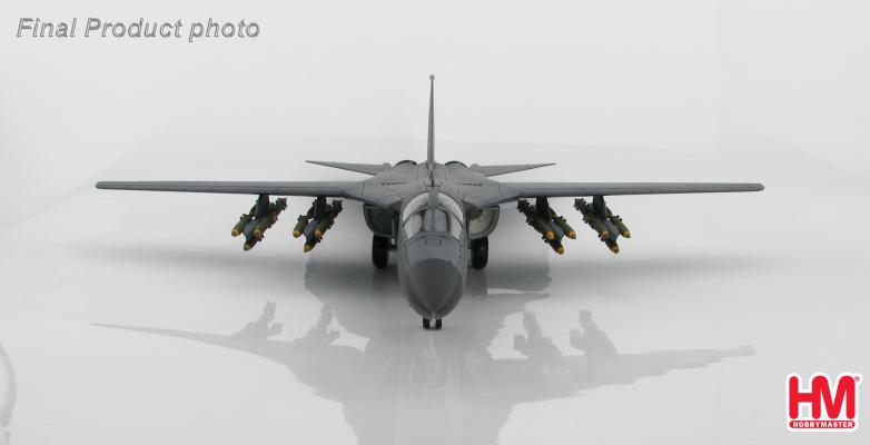 F-111C Aardvark "RAAF Farewell" A8-113, No. 82 Wing, Dec 2010