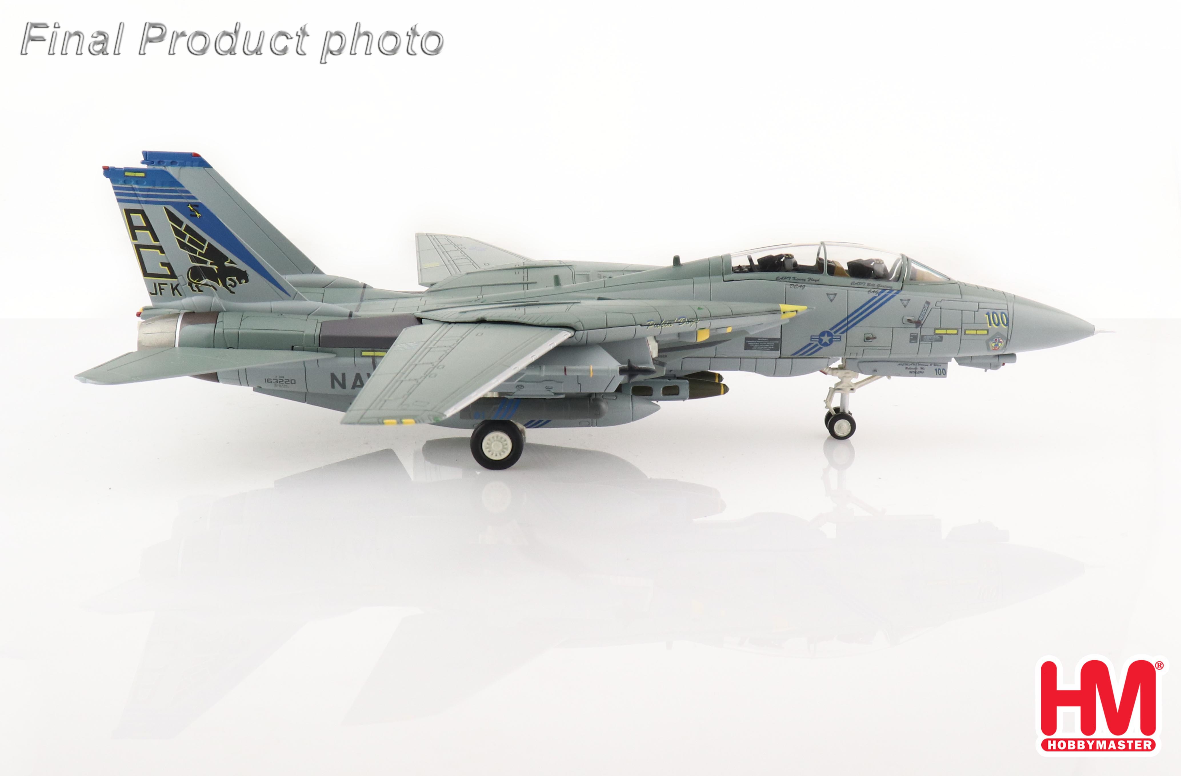 Grumman F-14B Tomcat "OEF" 163220, VF-143 "Pukin Dogs", 2002