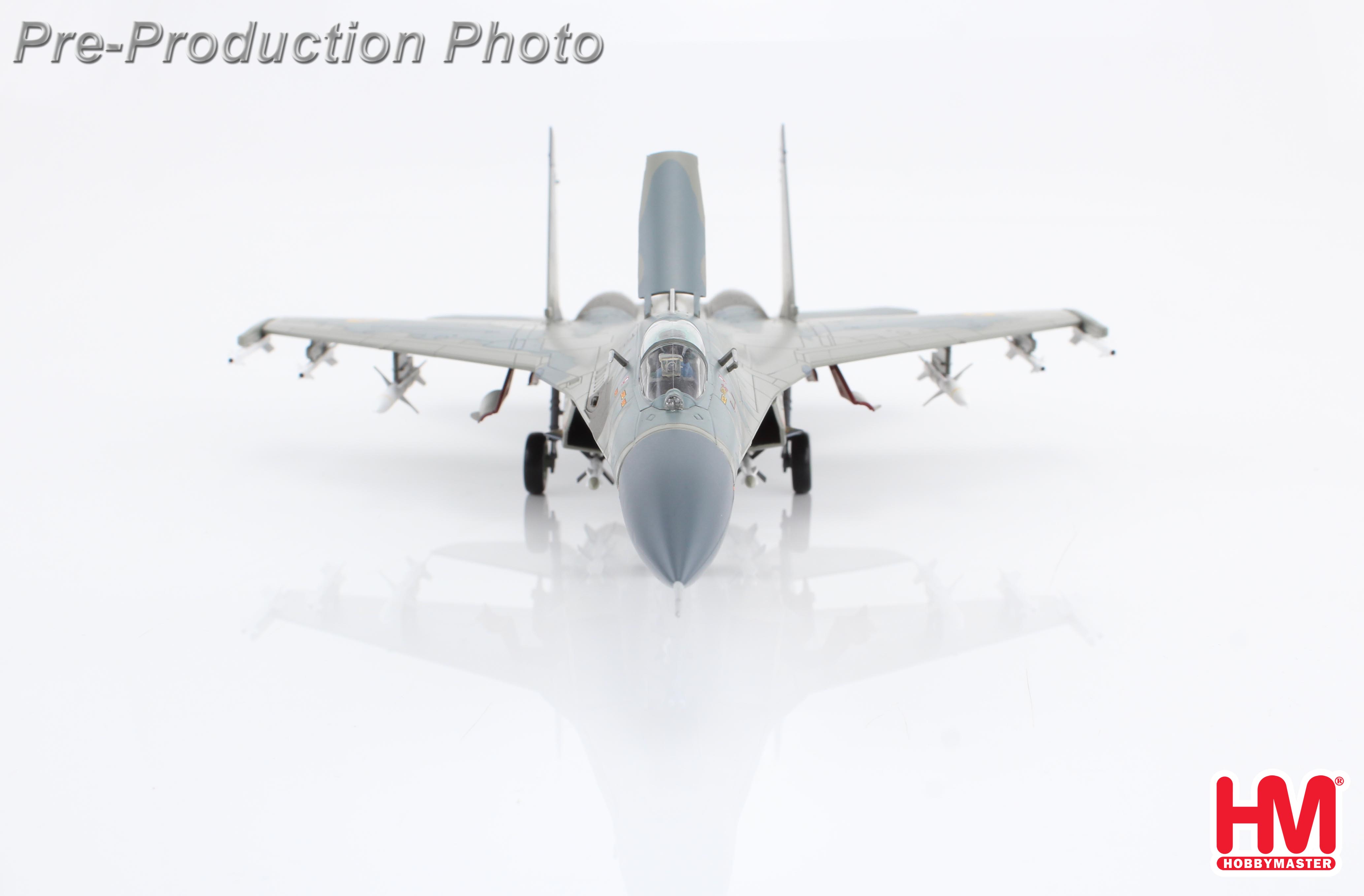 Su-27 "Compass Ghost Grey scheme" Ukrainian Air Force, 2023 (with AGM ...