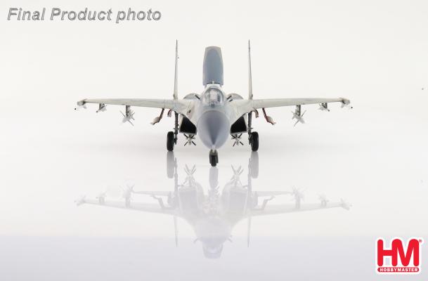 Su-27 "Compass Ghost Grey scheme" Ukrainian Air Force, 2023 (with AGM ...