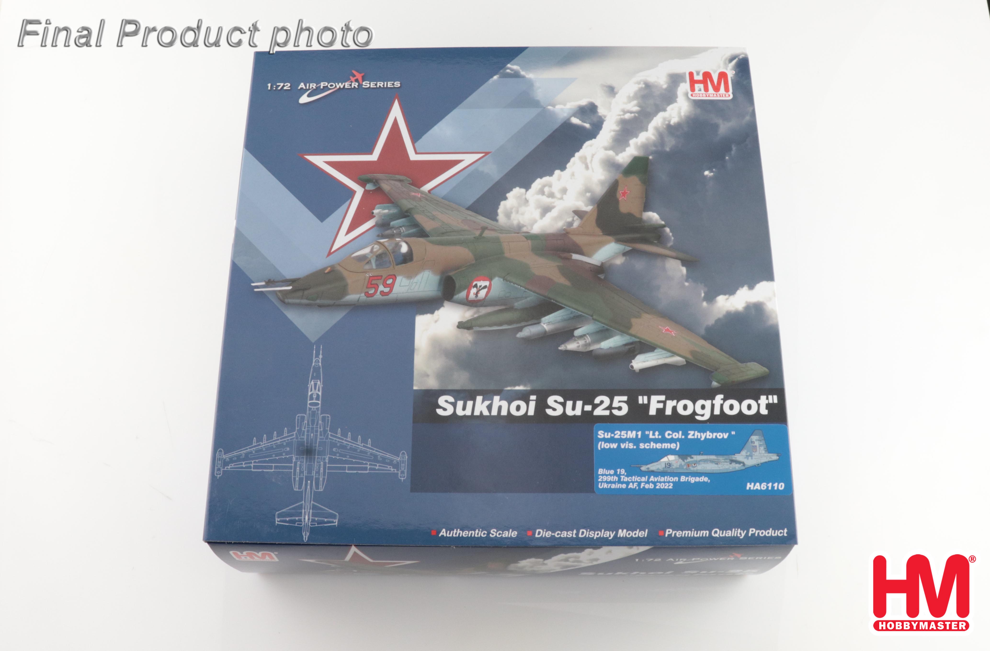 Su-25M1 "Lt. Col. Zhybrov "(low vis. scheme) Blue 19, 299th Tactical ...