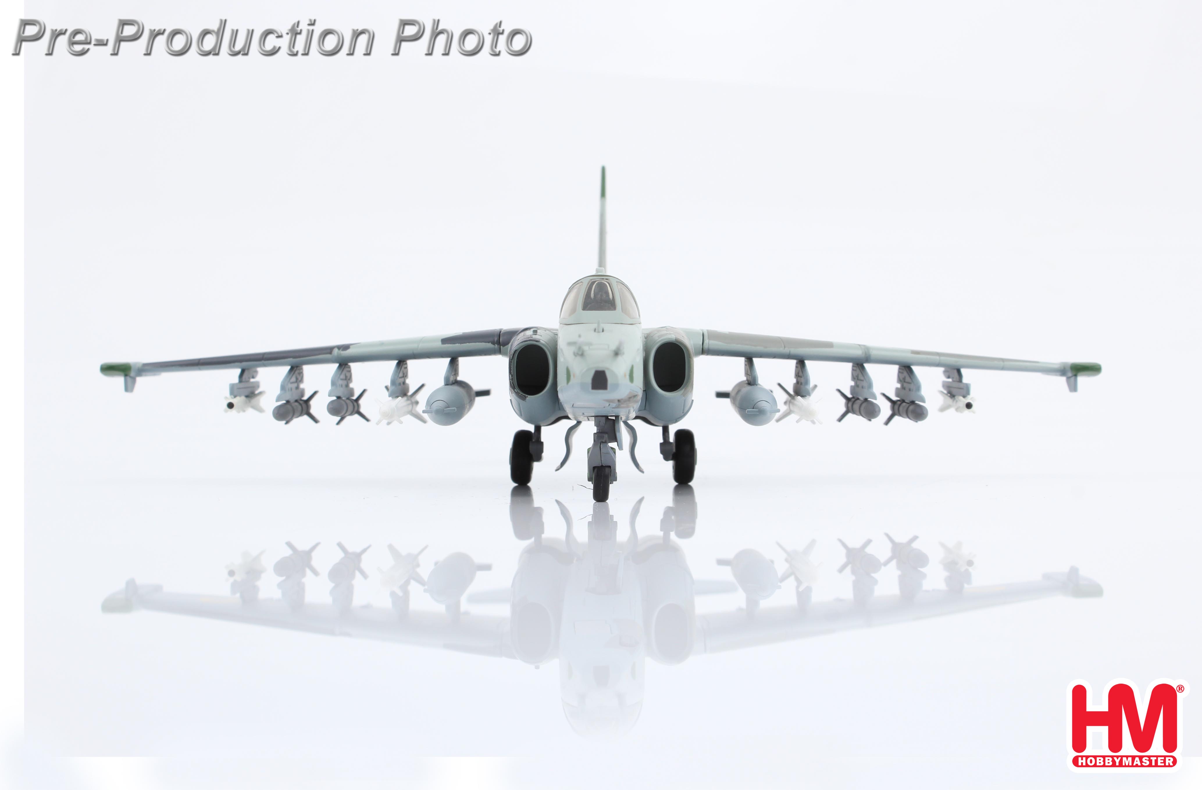 Su-25M1 "Lt. Col. Zhybrov "(low vis. scheme) Blue 19, 299th Tactical ...