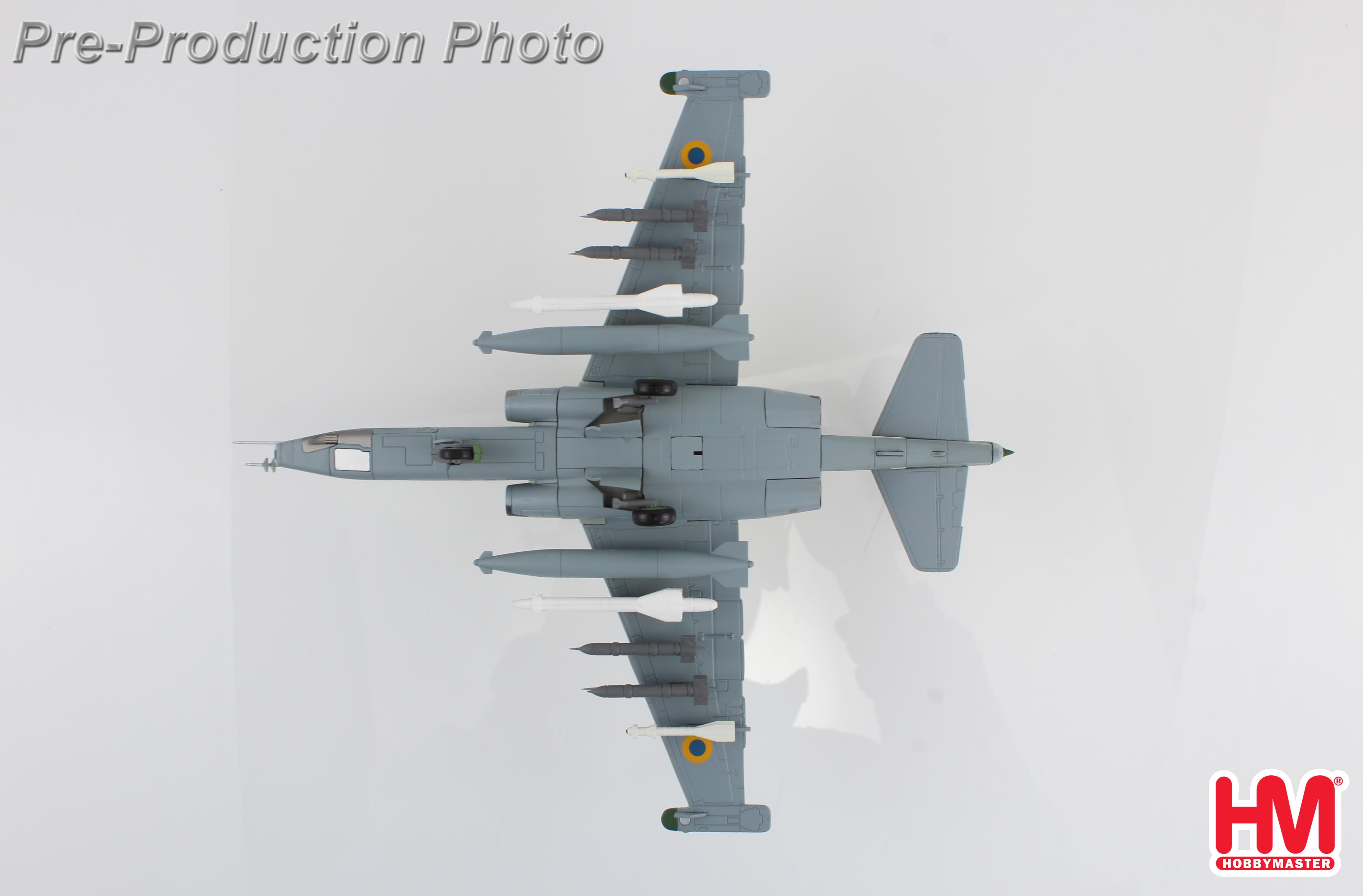 Su-25M1 "Lt. Col. Zhybrov "(low vis. scheme) Blue 19, 299th Tactical ...