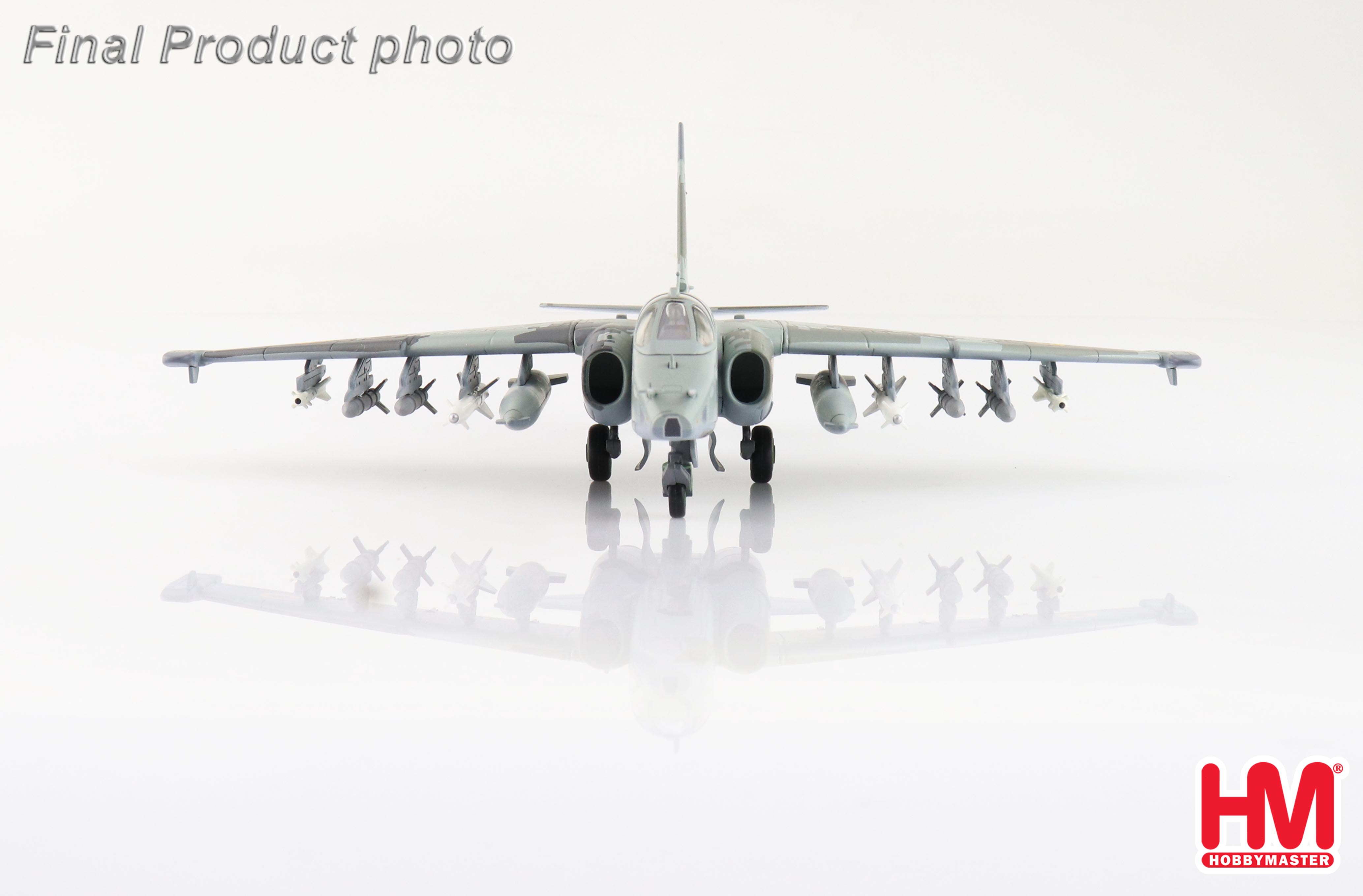 Su-25M1 "Lt. Col. Zhybrov "(low vis. scheme) Blue 19, 299th Tactical ...