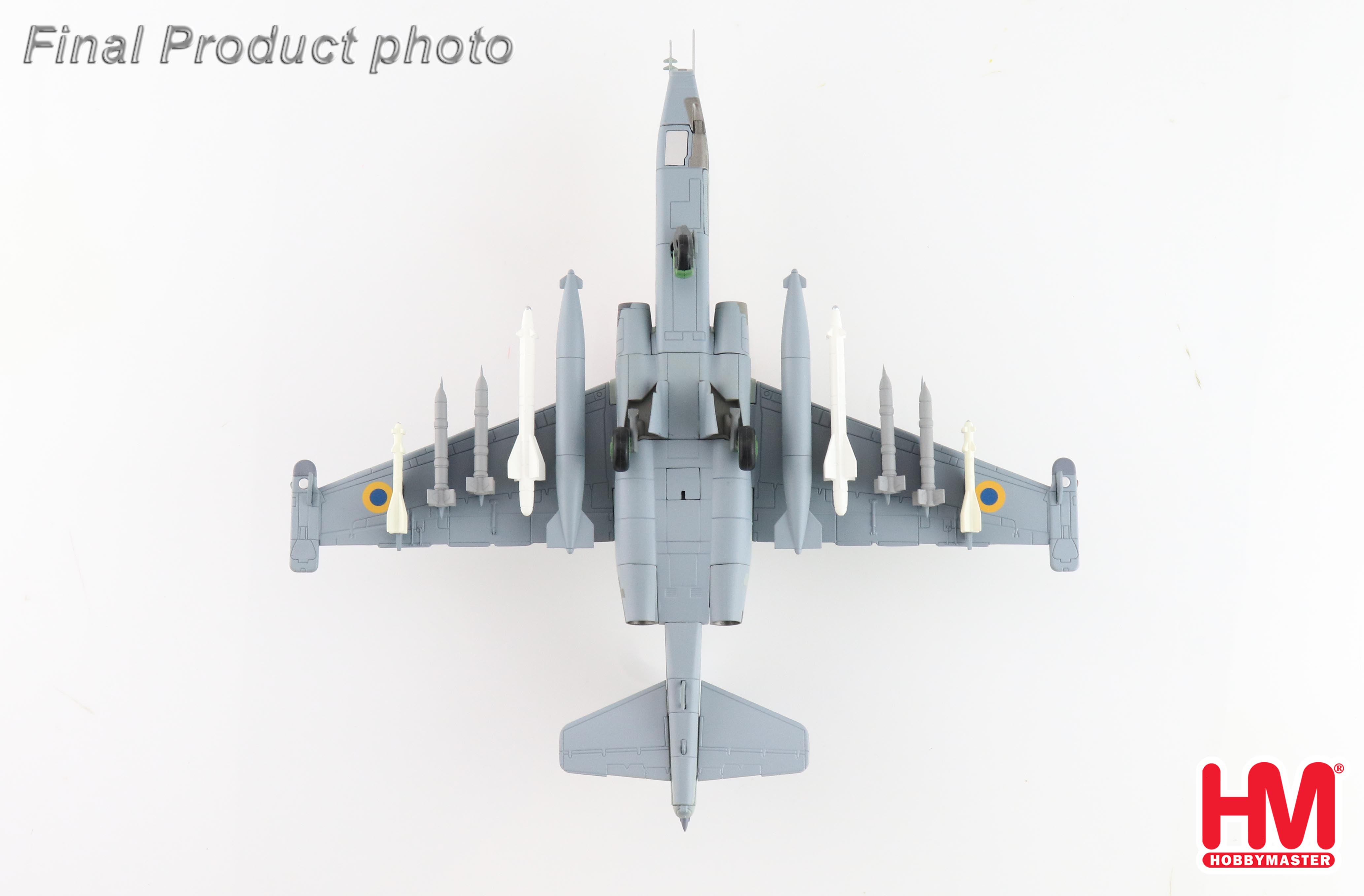 Su-25M1 "Lt. Col. Zhybrov "(low vis. scheme) Blue 19, 299th Tactical ...