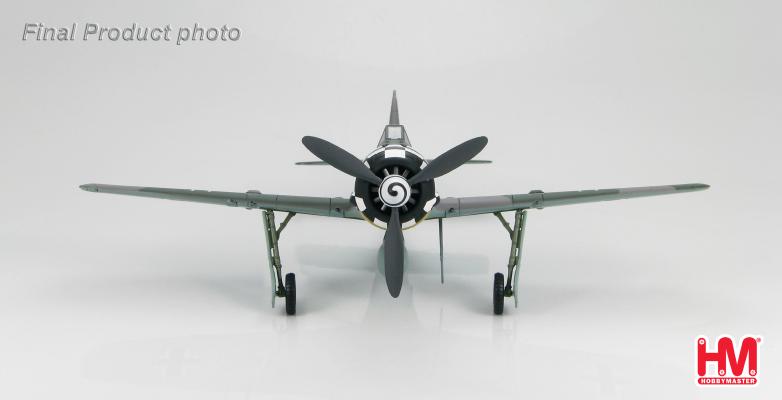 FW-190A-6 checker nose White 9 Leutnant Heinz Gunther Luck JG 1