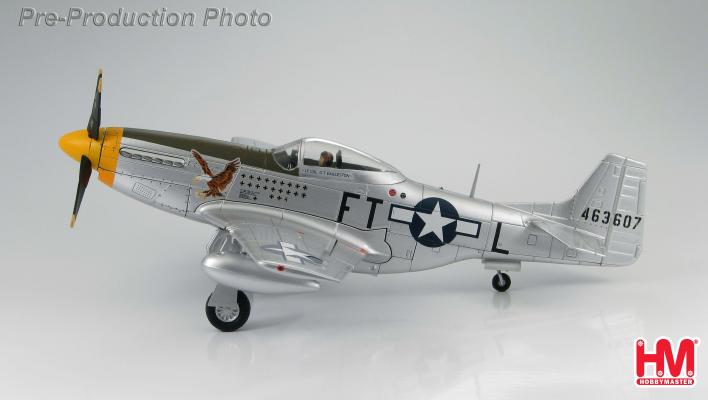 North American Aviation P-51D Mustang 353rd FS, 354th FG., 1945 Lt. Col ...