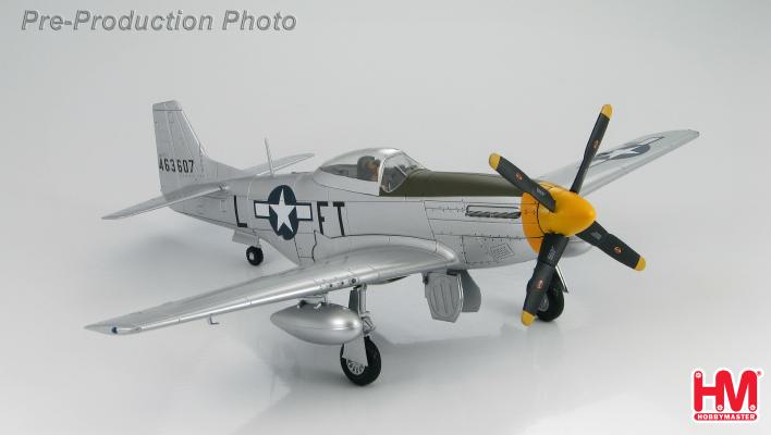 North American Aviation P-51D Mustang 353rd FS, 354th FG., 1945 Lt. Col ...