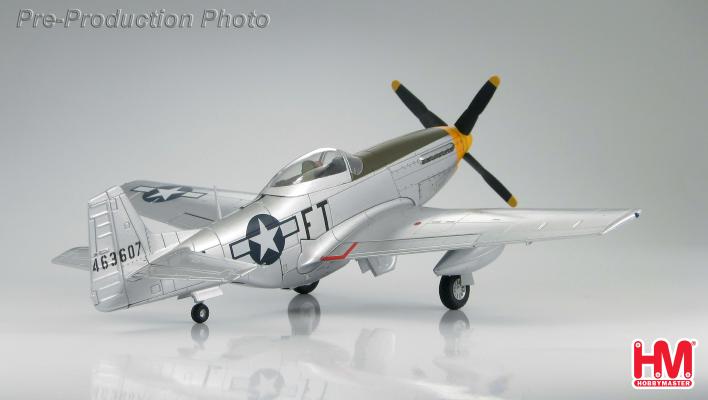 North American Aviation P-51D Mustang 353rd FS, 354th FG., 1945 Lt. Col ...