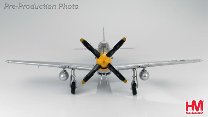 North American Aviation P-51D Mustang 353rd FS, 354th FG., 1945 Lt. Col ...