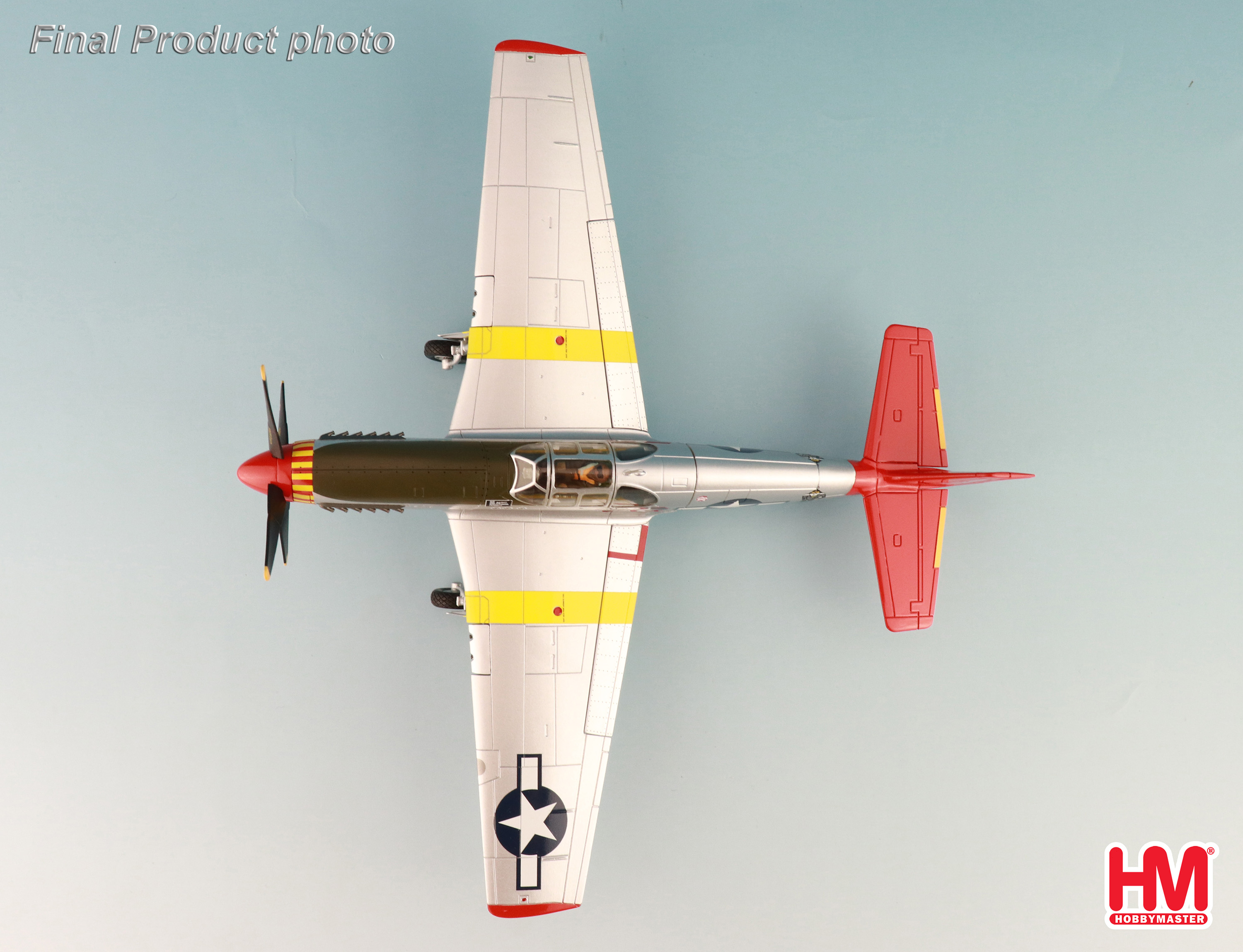 P-51C "Alice-Jo" flown by Pilot Capt. Wendell Pruitt, 302nd FS ...